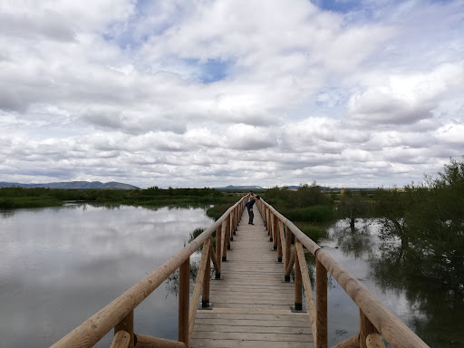Reserva Natural de la Laguna de Fuente de Piedra – Fuente de Piedra ...